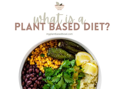 What is a plant-based diet? - My Plant Based Bowl