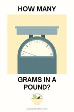 How Many Grams Are In A Pound? + Conversion Chart - My Plant Based Bowl