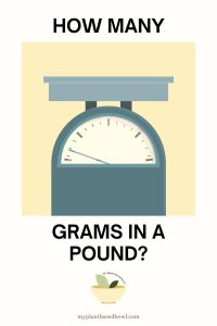 How Many Grams Are In A Pound? + Conversion Chart - My Plant Based Bowl